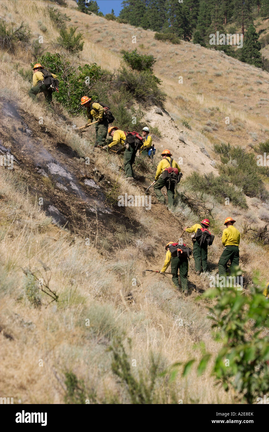 Hot Shot Crew at a wildland fire building a fire line Stock Photo - Alamy