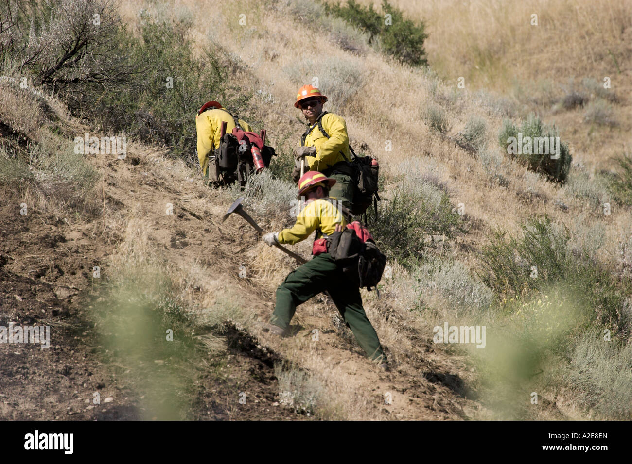 Hot Shot Crew at a wildland fire building a fire line Stock Photo - Alamy