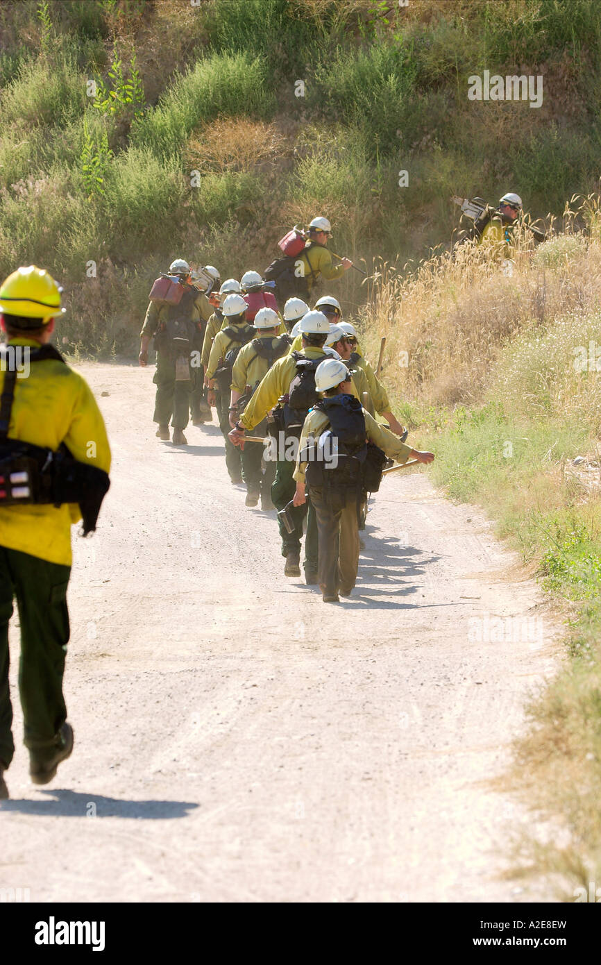 Wild land fire fighters hi-res stock photography and images - Alamy