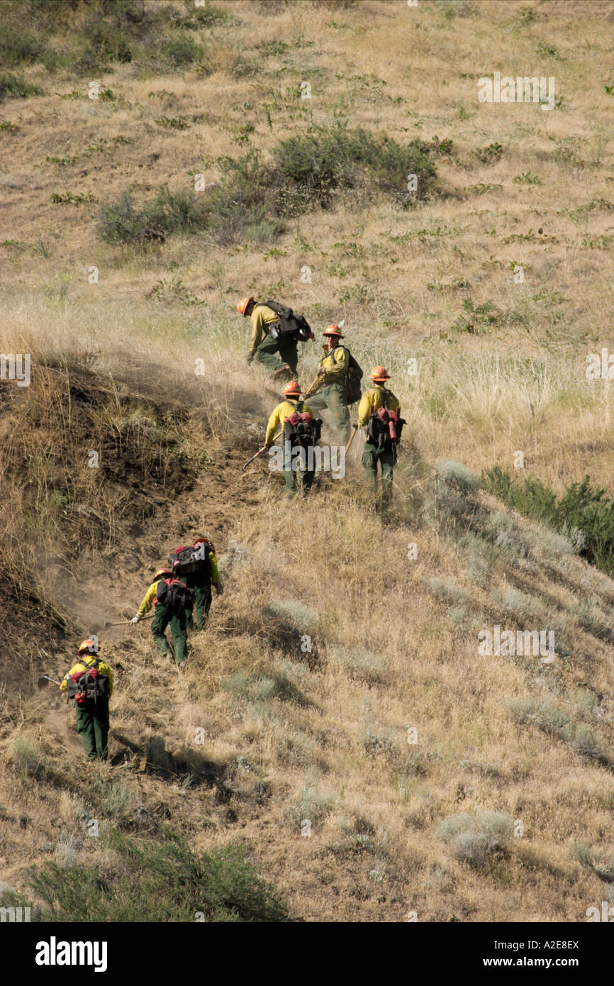 Hot Shot Crew at a wildland fire building a fire line Stock Photo - Alamy