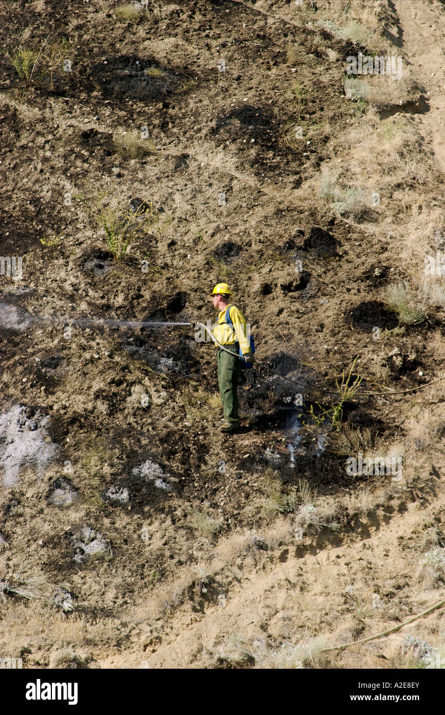 Forest fire hot spot hi-res stock photography and images - Alamy