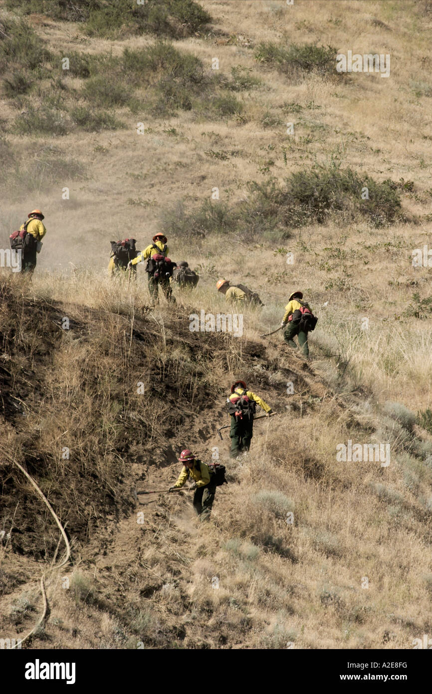 Hot Shot Crew at a wildland fire building a fire line Stock Photo - Alamy