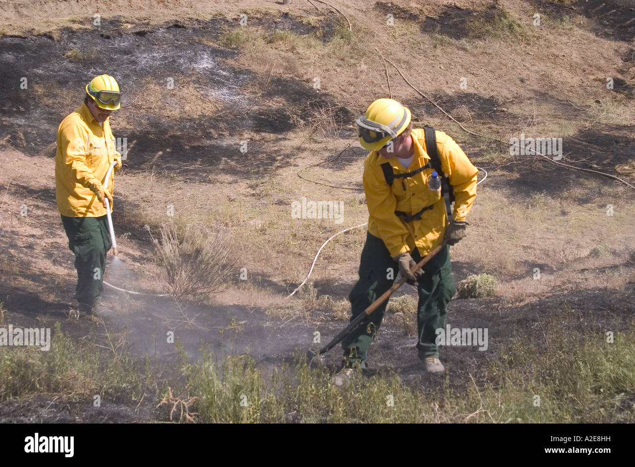 Firefighter doing mop up at a Wildland Acadamy training session Stock ...