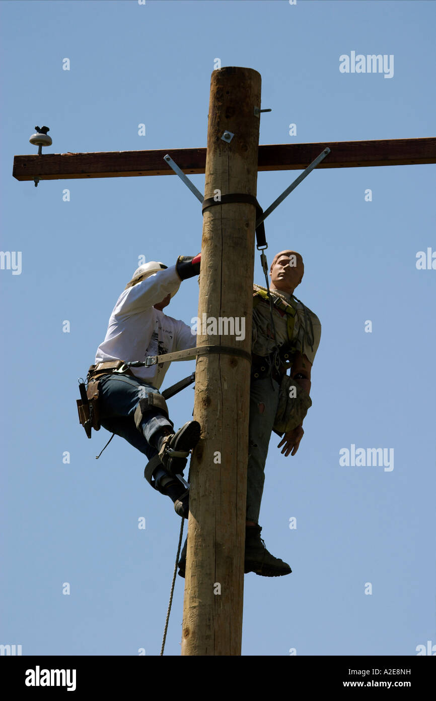 Photo of a lineman on a power pole at the Andrew York Lineman Rodeo ...