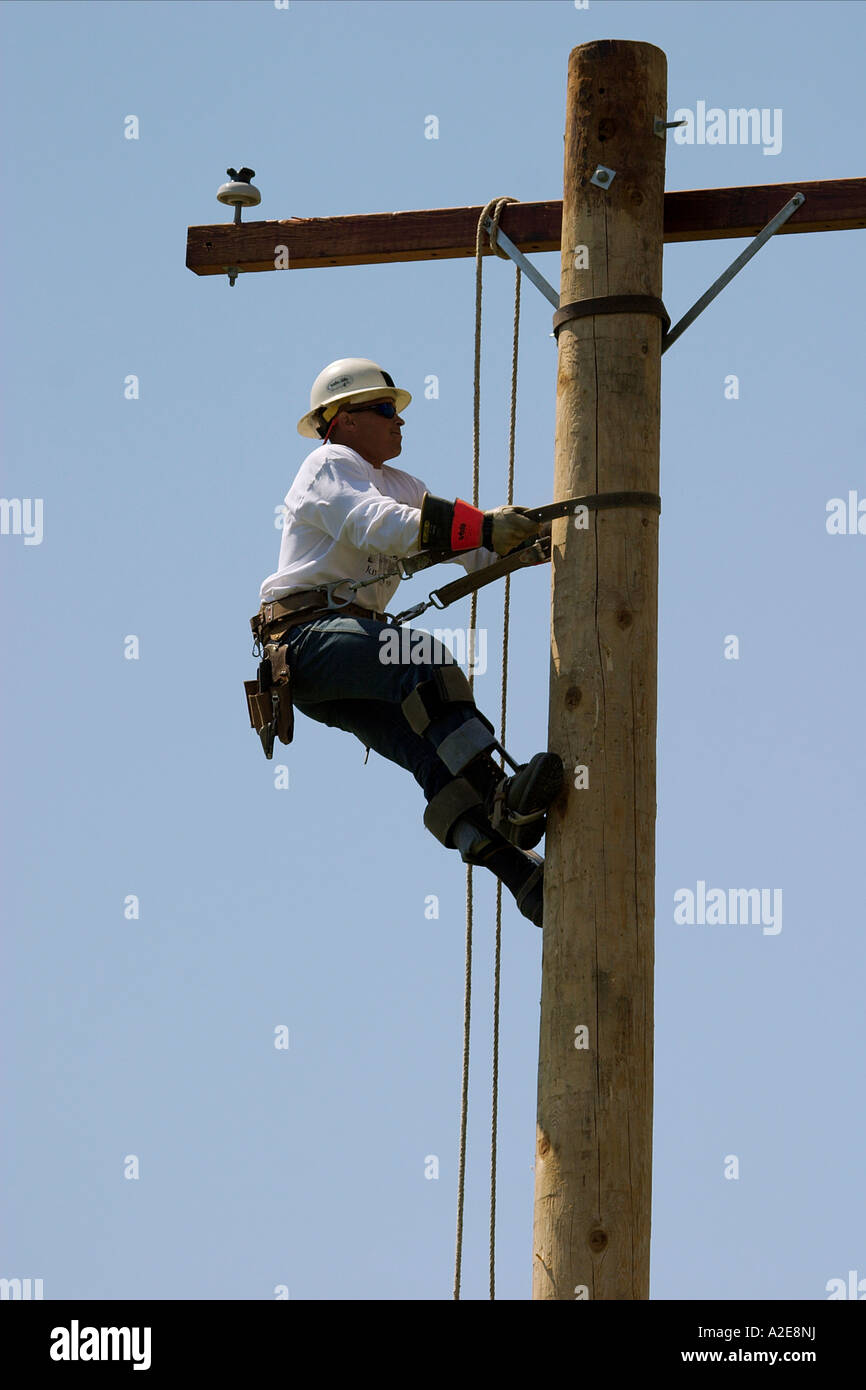 Lineman On Pole