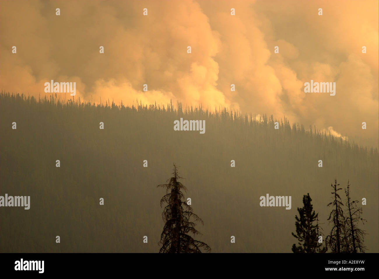The glow of a forest fire about to break over a ridge from the Spur ...