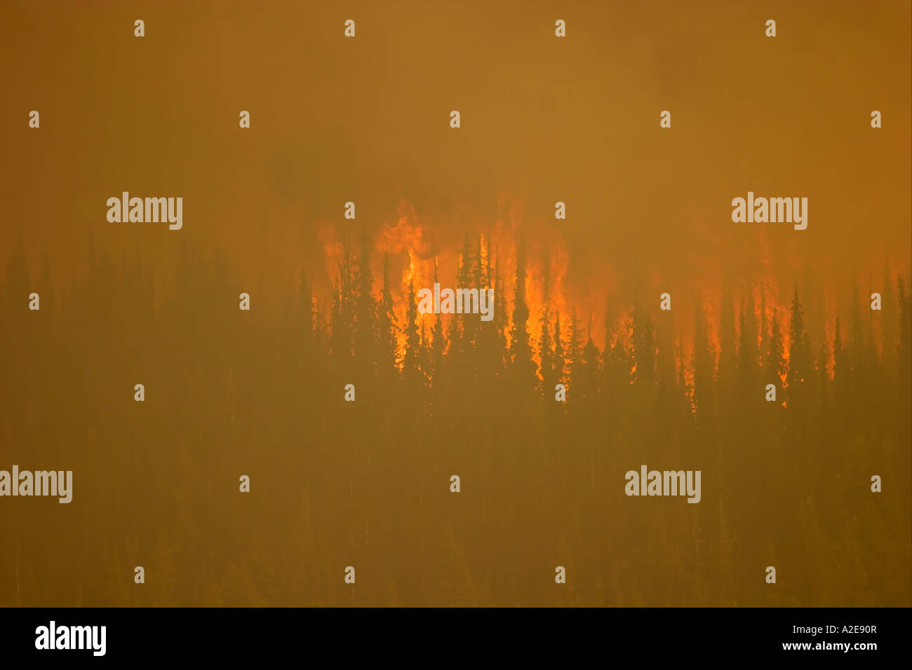 Trees torching on a ridge with smoke filled sky at the Spur Peak ...
