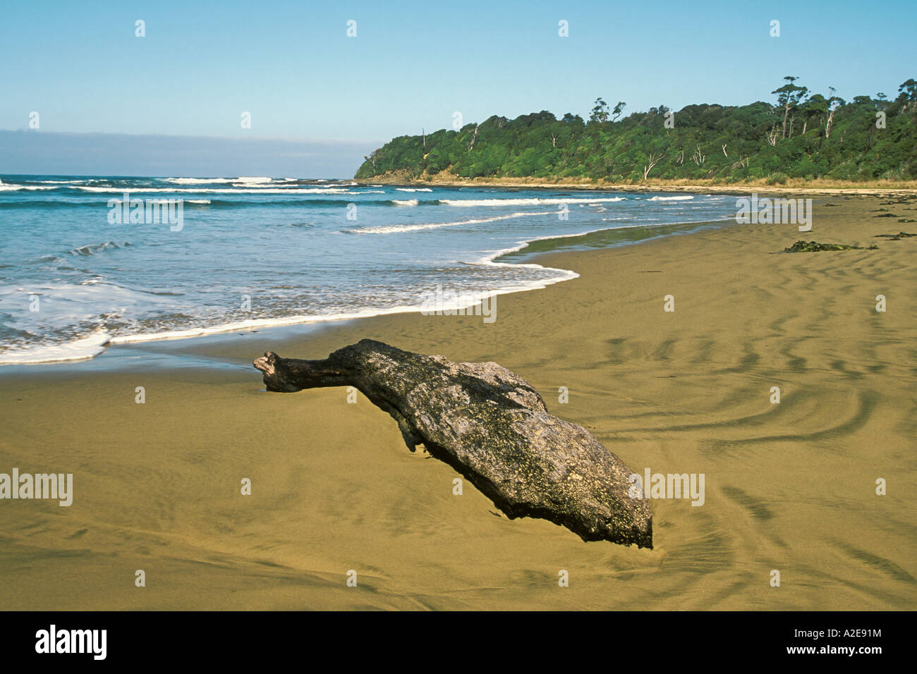 The Tahakopa rivermouth and the beach at Papatowai in The Catlins Otago ...