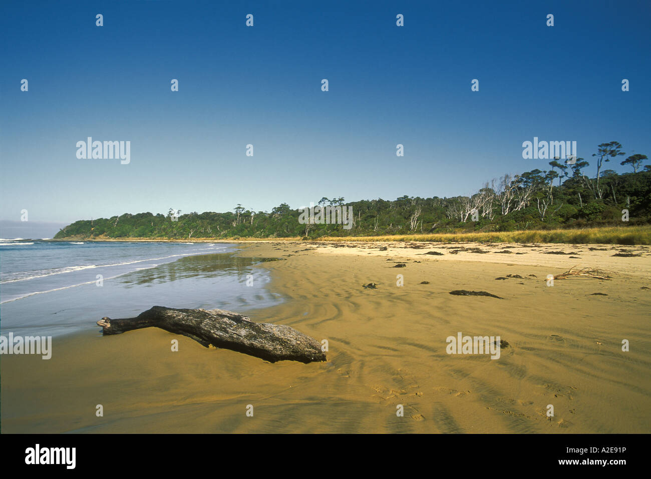 Papatowai hi-res stock photography and images - Alamy