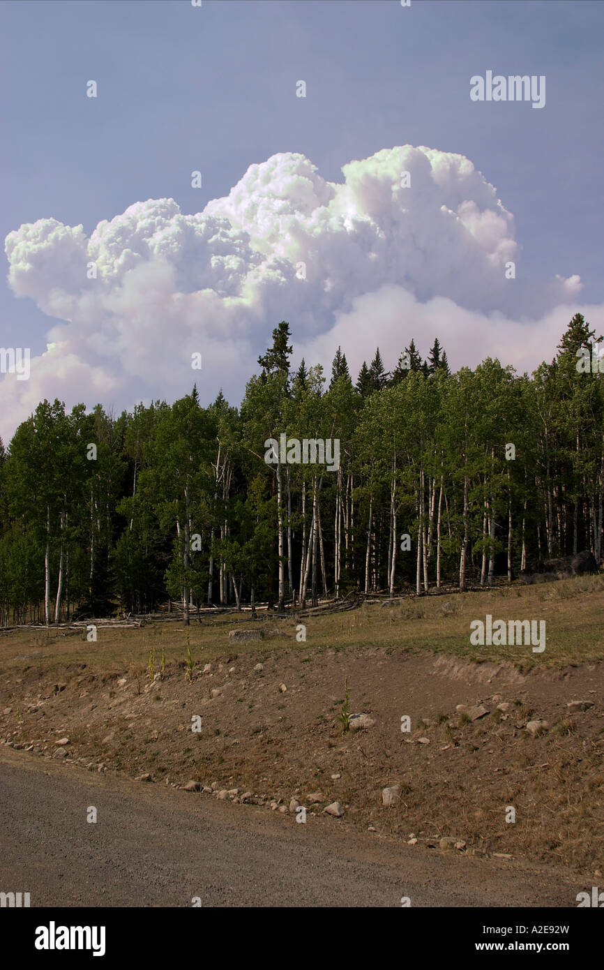 Smoke plume from the Tripod Complex wildfire in North Central ...