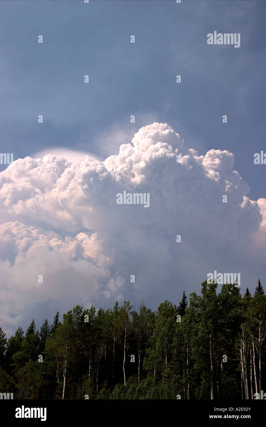 Smoke plume from the Tripod Complex wildfire in North Central ...