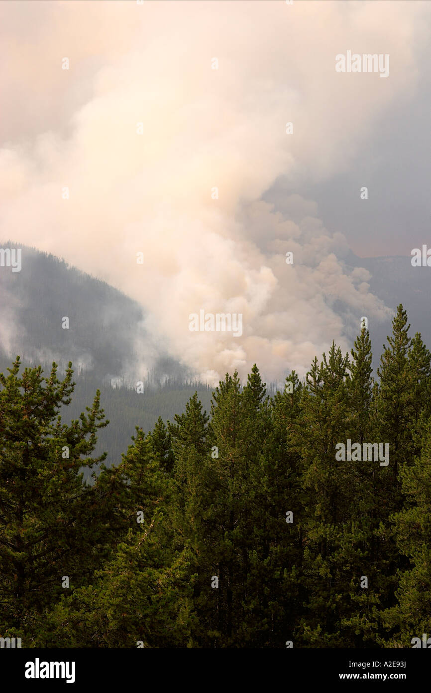 Smoke plume from the Tripod Complex wildfire in North Central ...