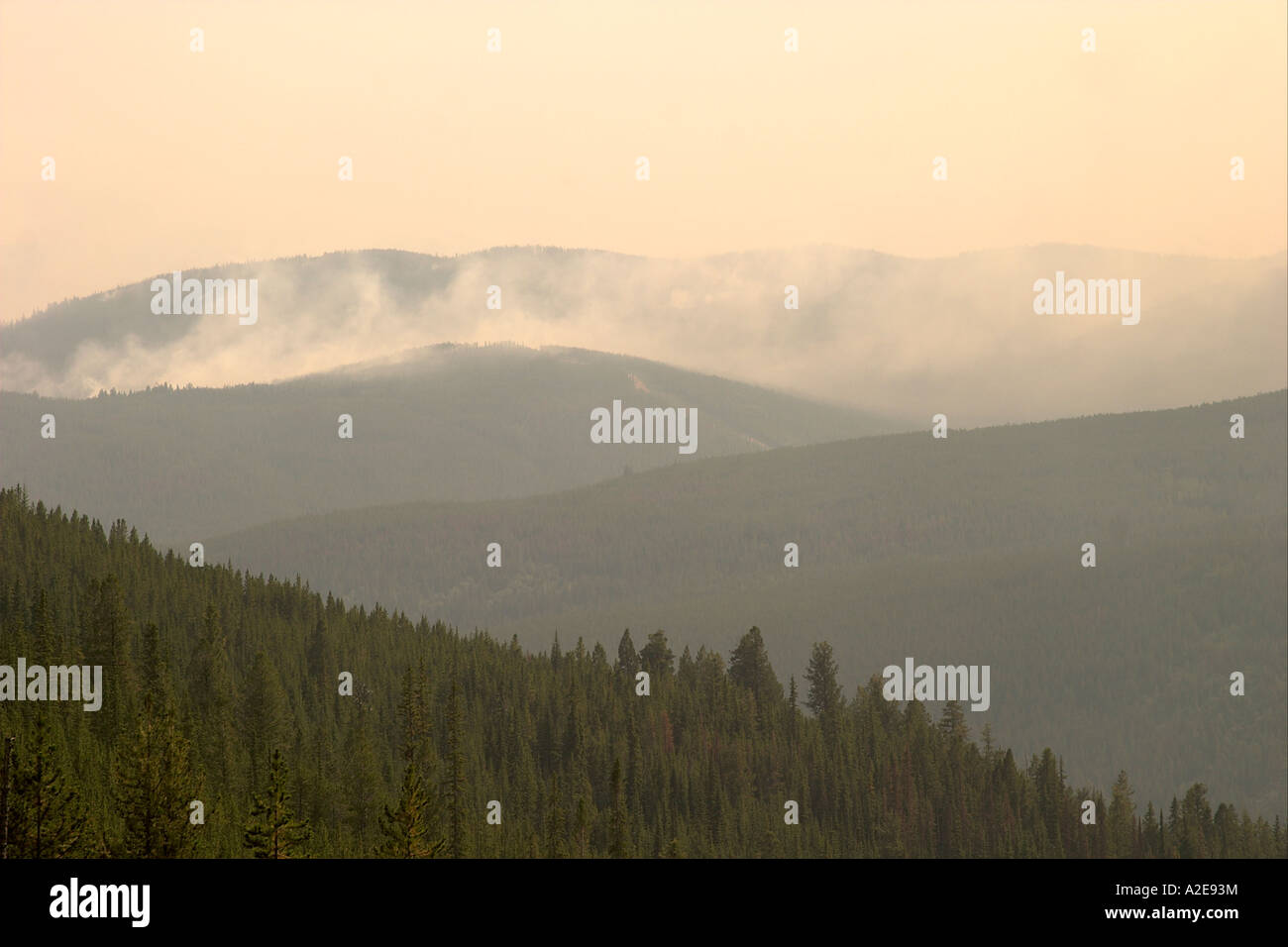 Smoke plume from the Tripod Complex wildfire in North Central ...