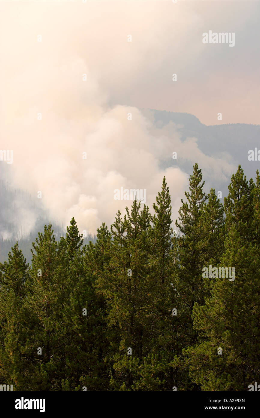 Smoke plume from the Tripod Complex wildfire in North Central ...