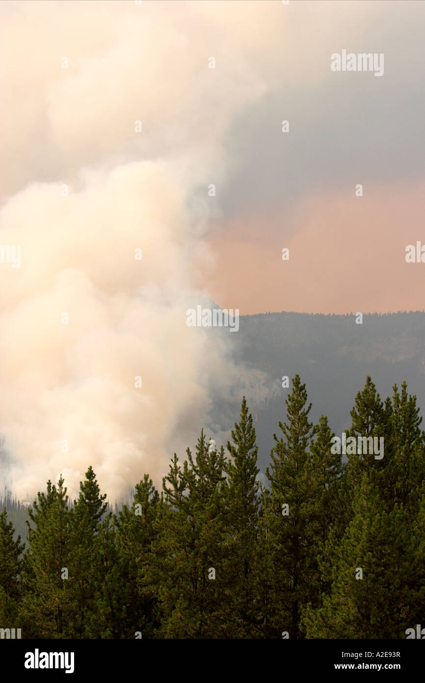 Smoke plume from the Tripod Complex wildfire in North Central ...
