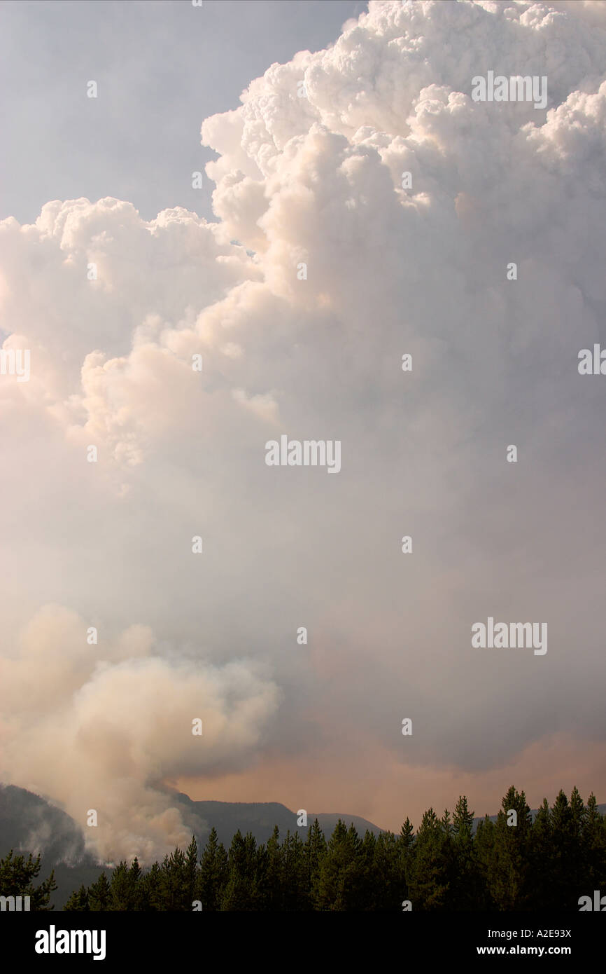 Smoke plume from the Tripod Complex wildfire in North Central ...