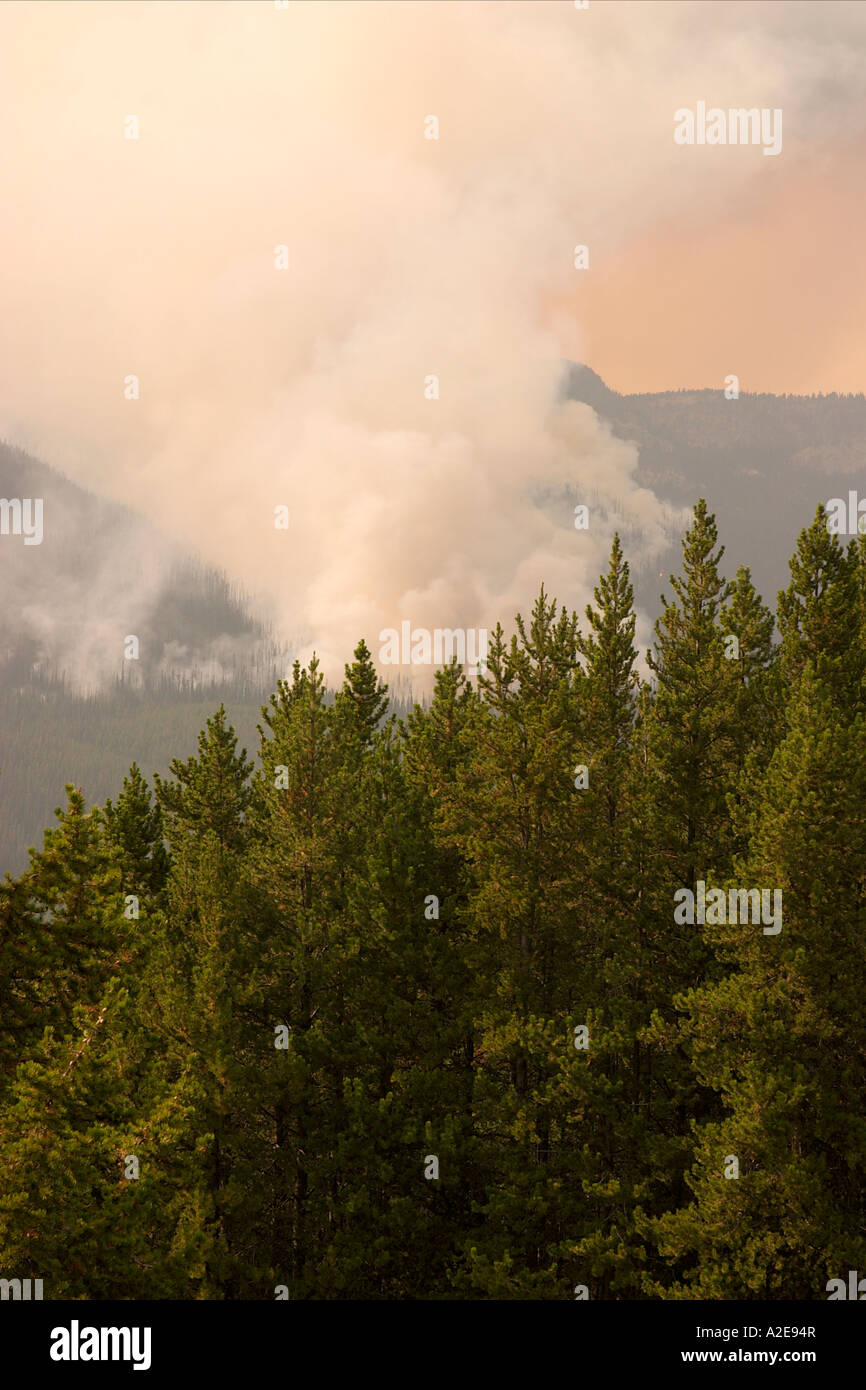 Smoke plume from the Tripod Complex wildfire in North Central ...