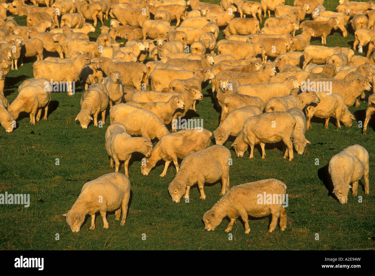 Owaka river hi-res stock photography and images - Alamy