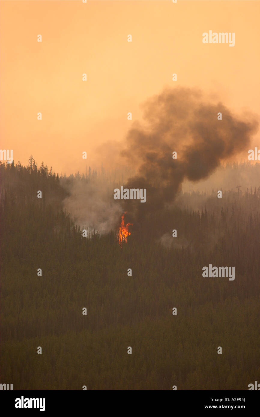 Smoke plume from the Tripod Complex wildfire in North Central ...