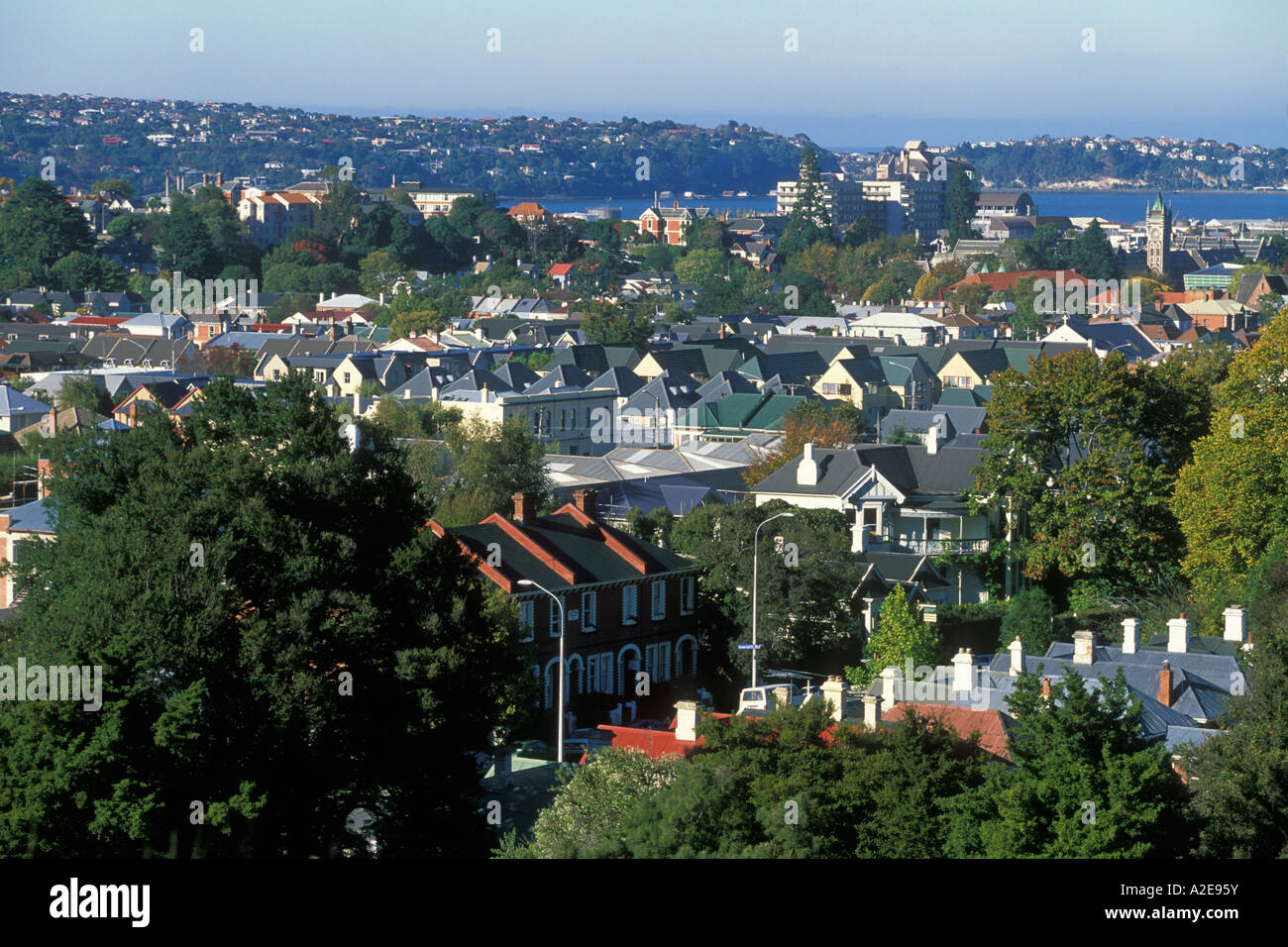 View across North Dunedin towards the University of Otago and the Otago ...