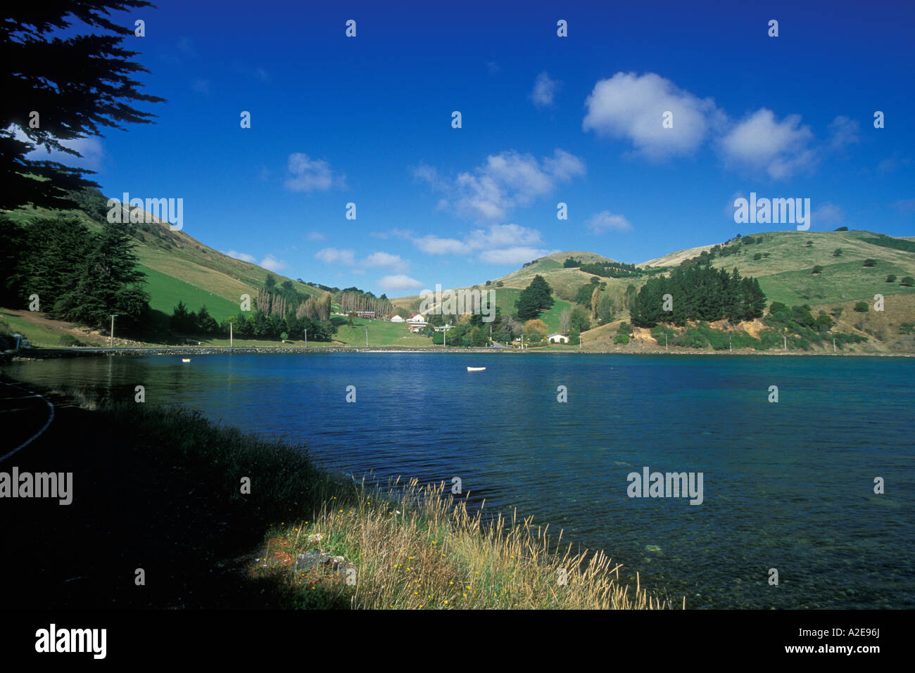 The waters of Otago Harbour and the scenic wildlife rich Otago ...