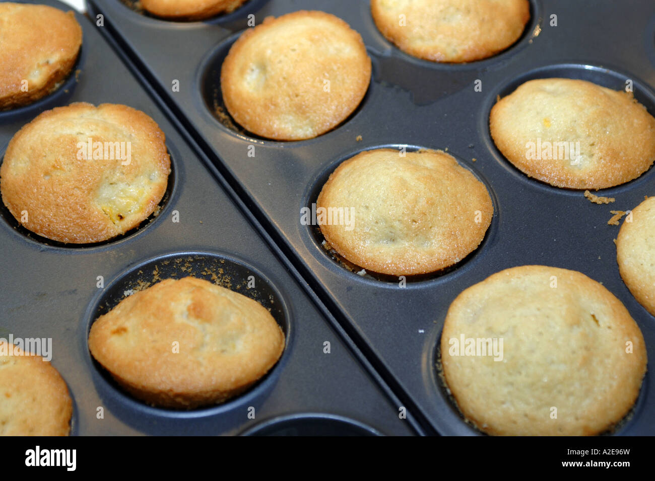 Fodder trays hi-res stock photography and images - Alamy