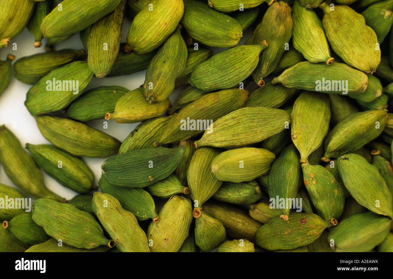Cardamom elettaria hi-res stock photography and images - Alamy
