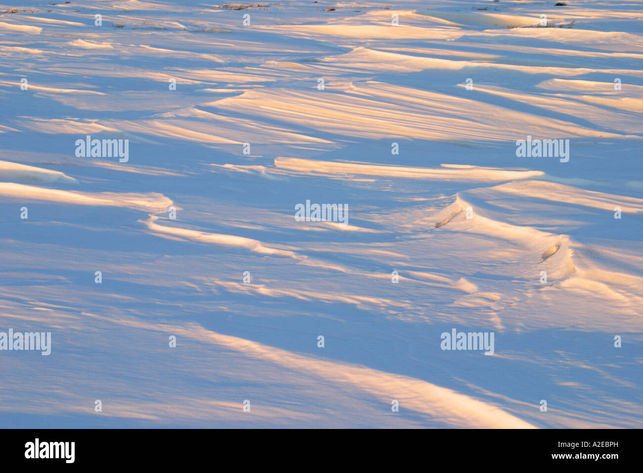 frozen ice in sunset Stock Photo - Alamy
