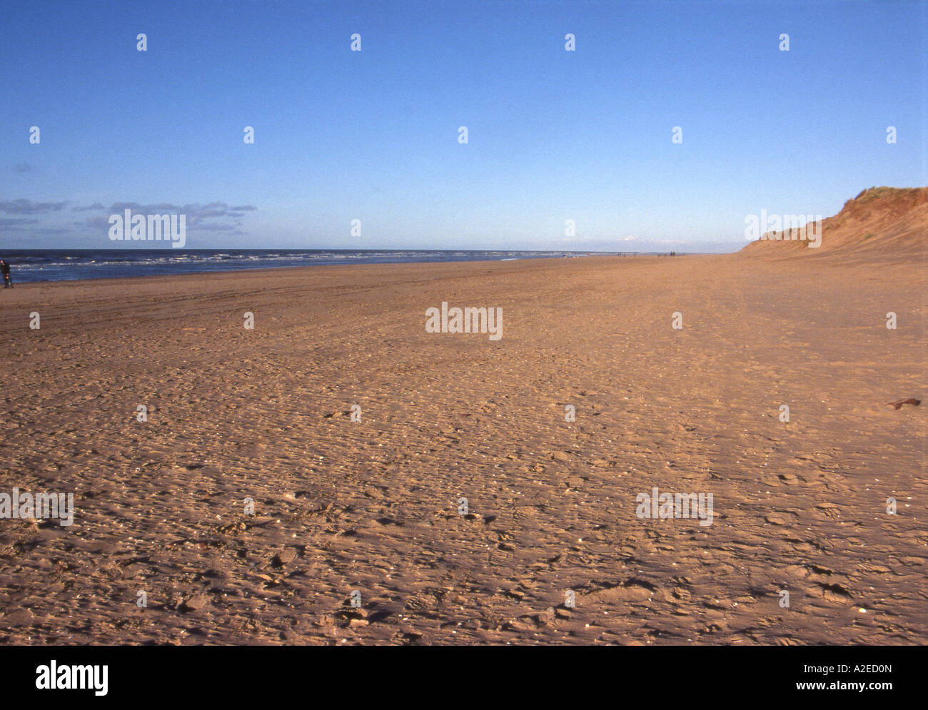 Formby beach squirrel hi-res stock photography and images - Alamy