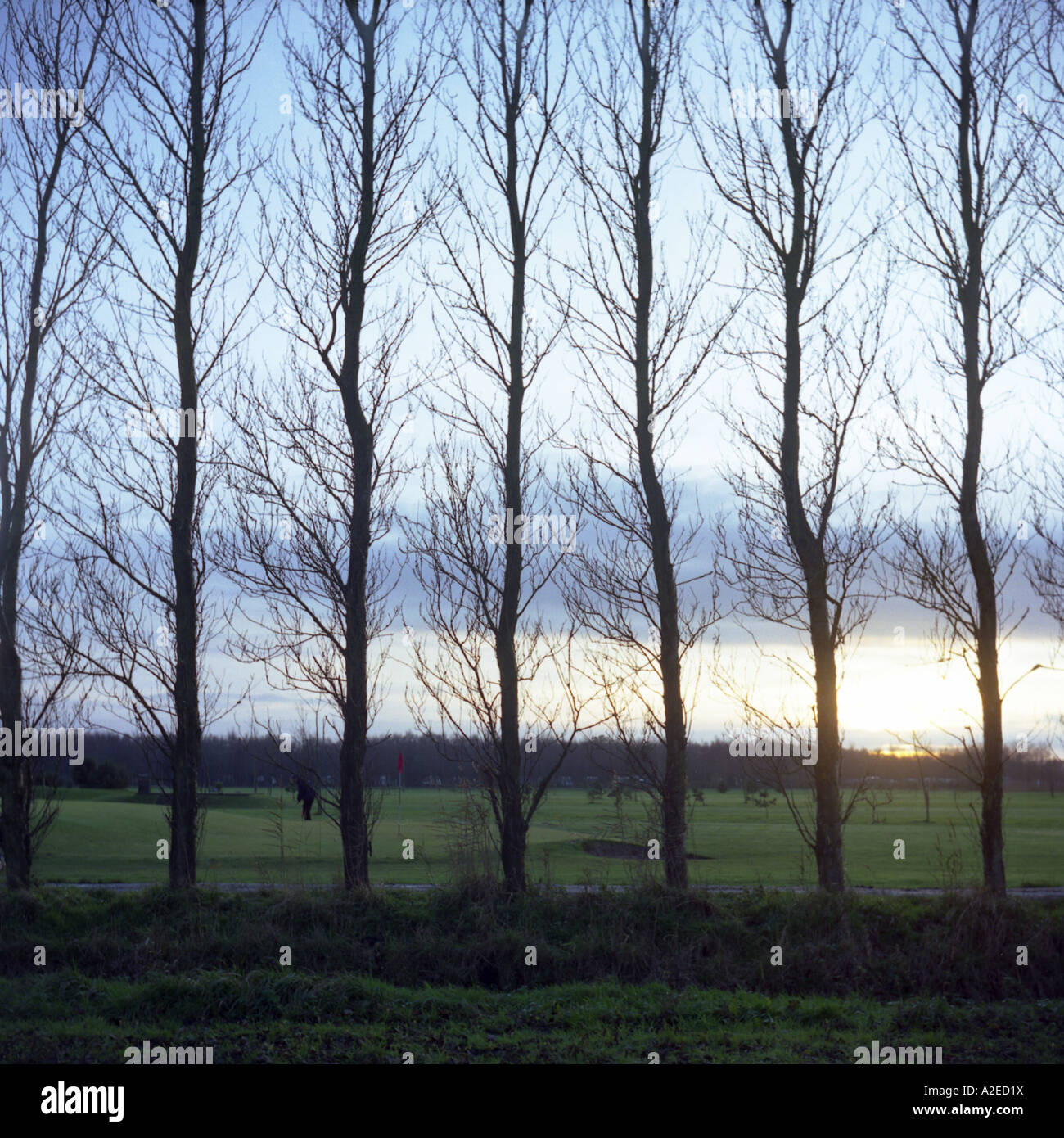 Leisure Lakes Tree Stock Photo - Alamy