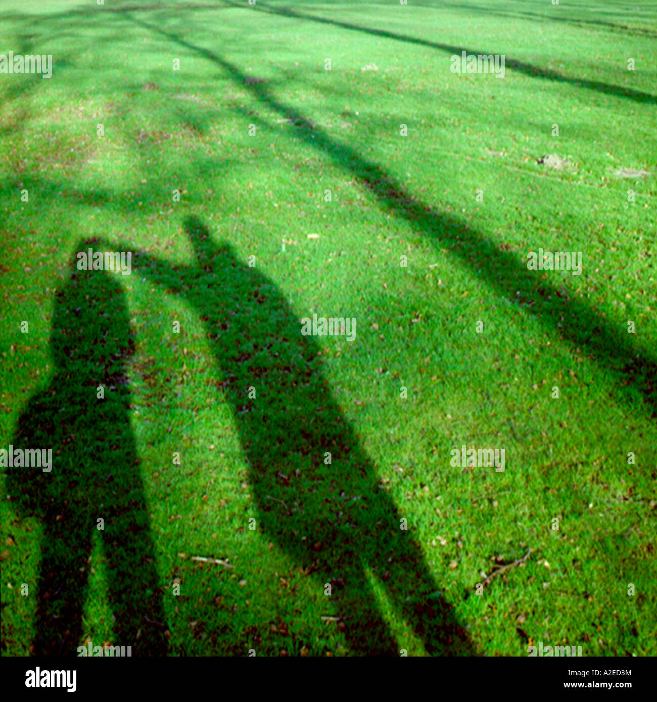 Shadows in the Park Stock Photo - Alamy