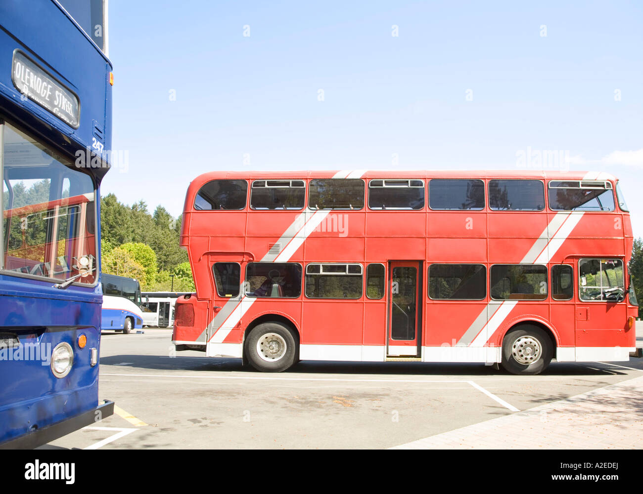 Red and blue tour busses Stock Photo - Alamy