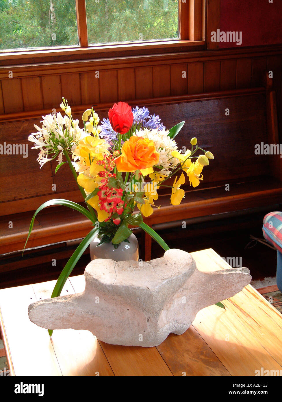 New zealand the convent hi-res stock photography and images - Alamy