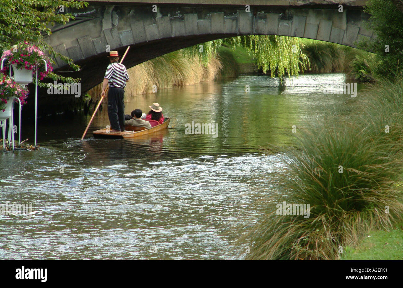New Zealand, Christchruch. Punting on the Avon River Stock Photo - Alamy