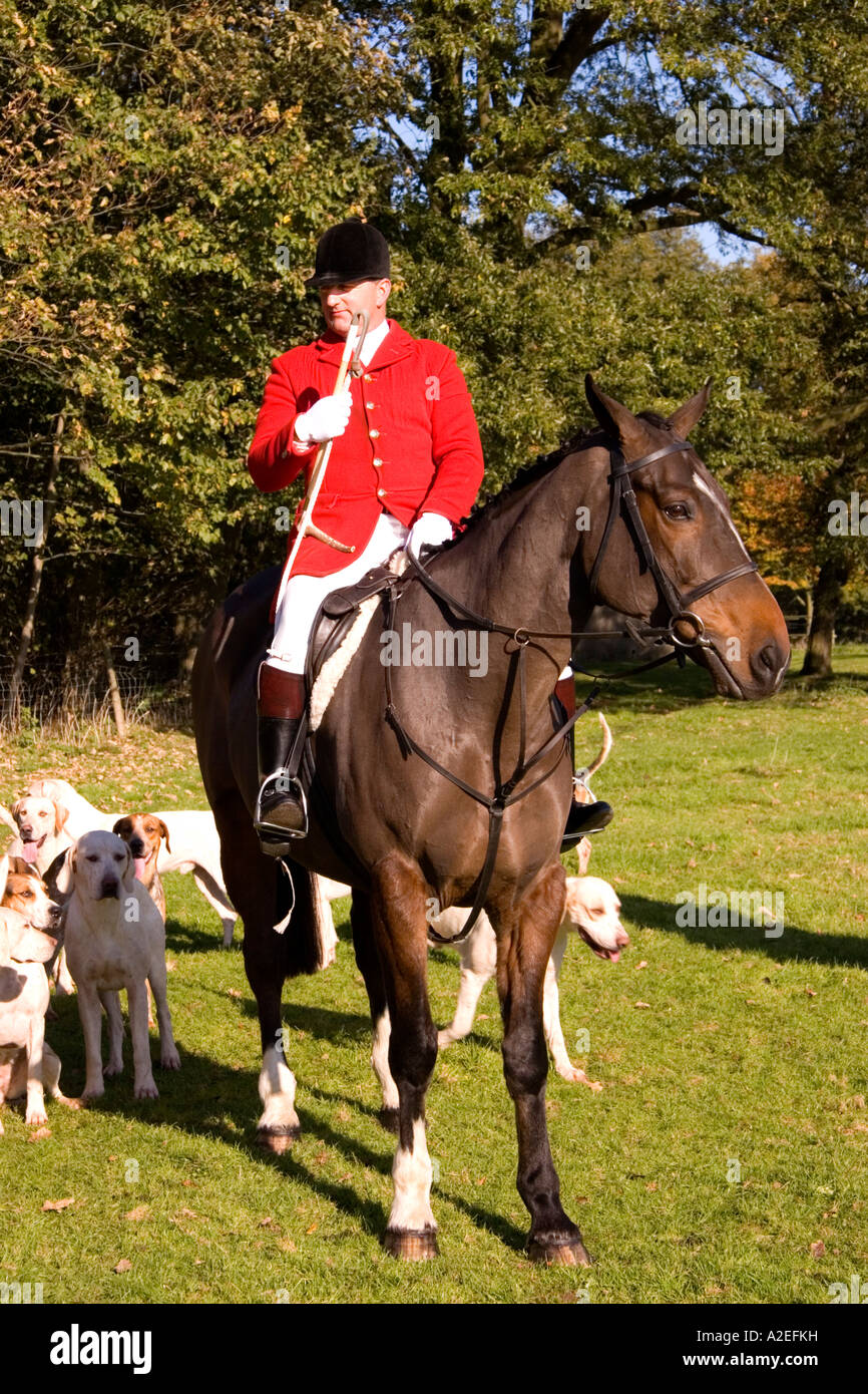 Huntsman hunt fox hunt horse hi-res stock photography and images - Alamy