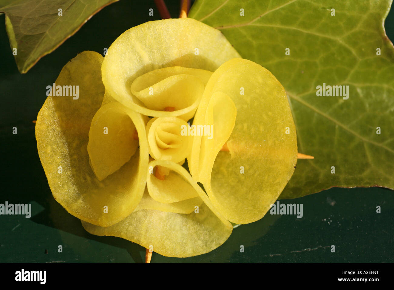 Chinese decorated food flower garnish a radish carved into the shape of ...