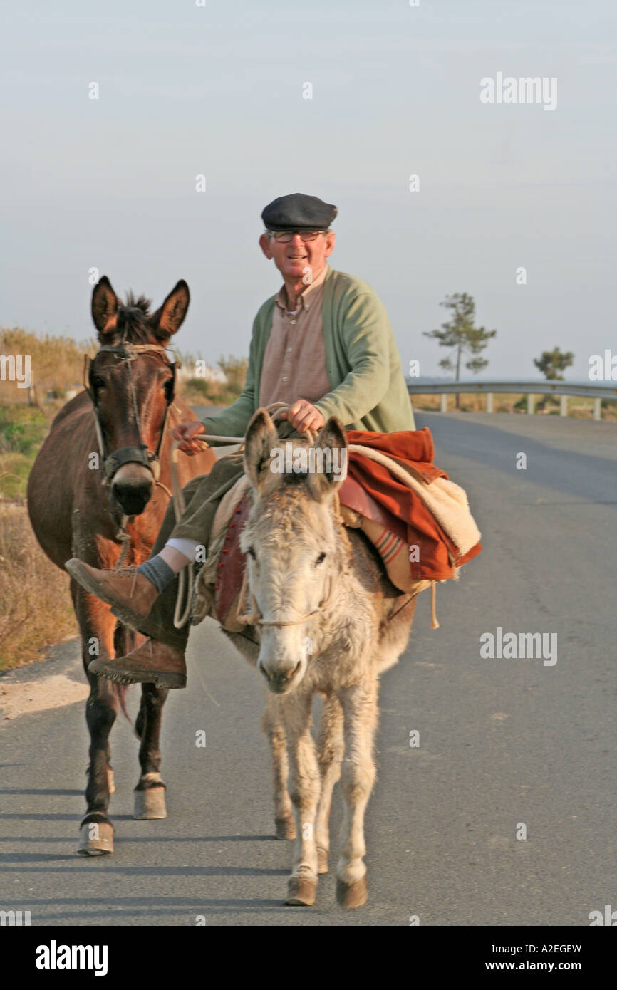 Man donkey spanish hi-res stock photography and images - Alamy