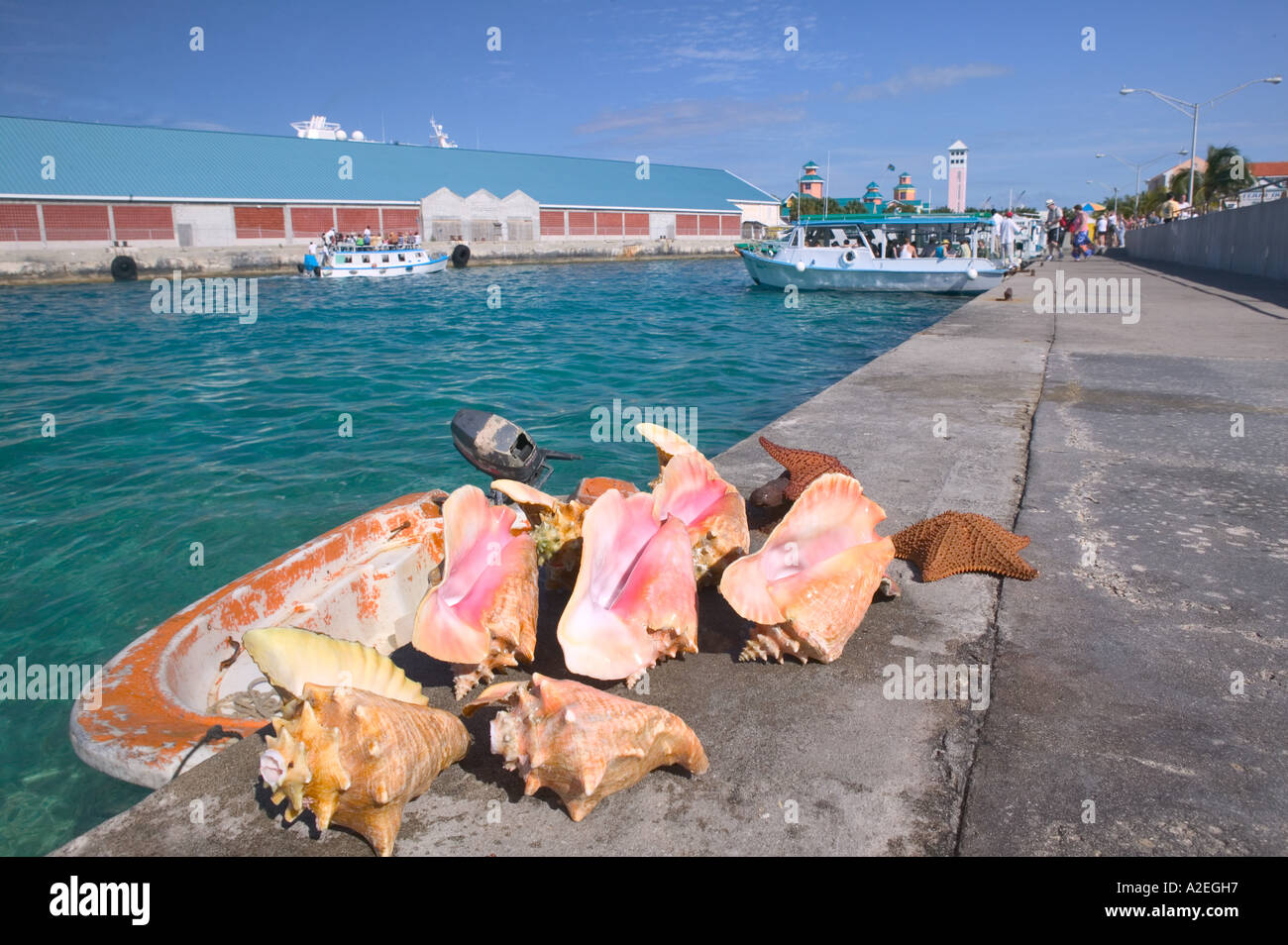 BAHAMAS, New Providence Island, Nassau: Port of Nassau, Cinch Shells ...