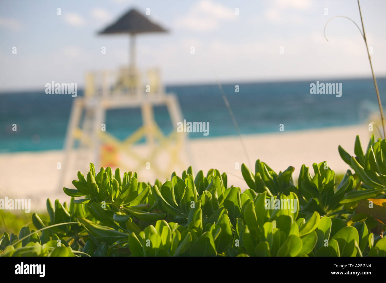 Nassau beach lifeguard bahamas caribbean hi-res stock photography and ...