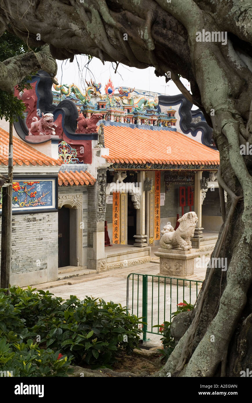 dh Pak Tai Temple CHEUNG CHAU HONG KONG Banyan tree temple building ...