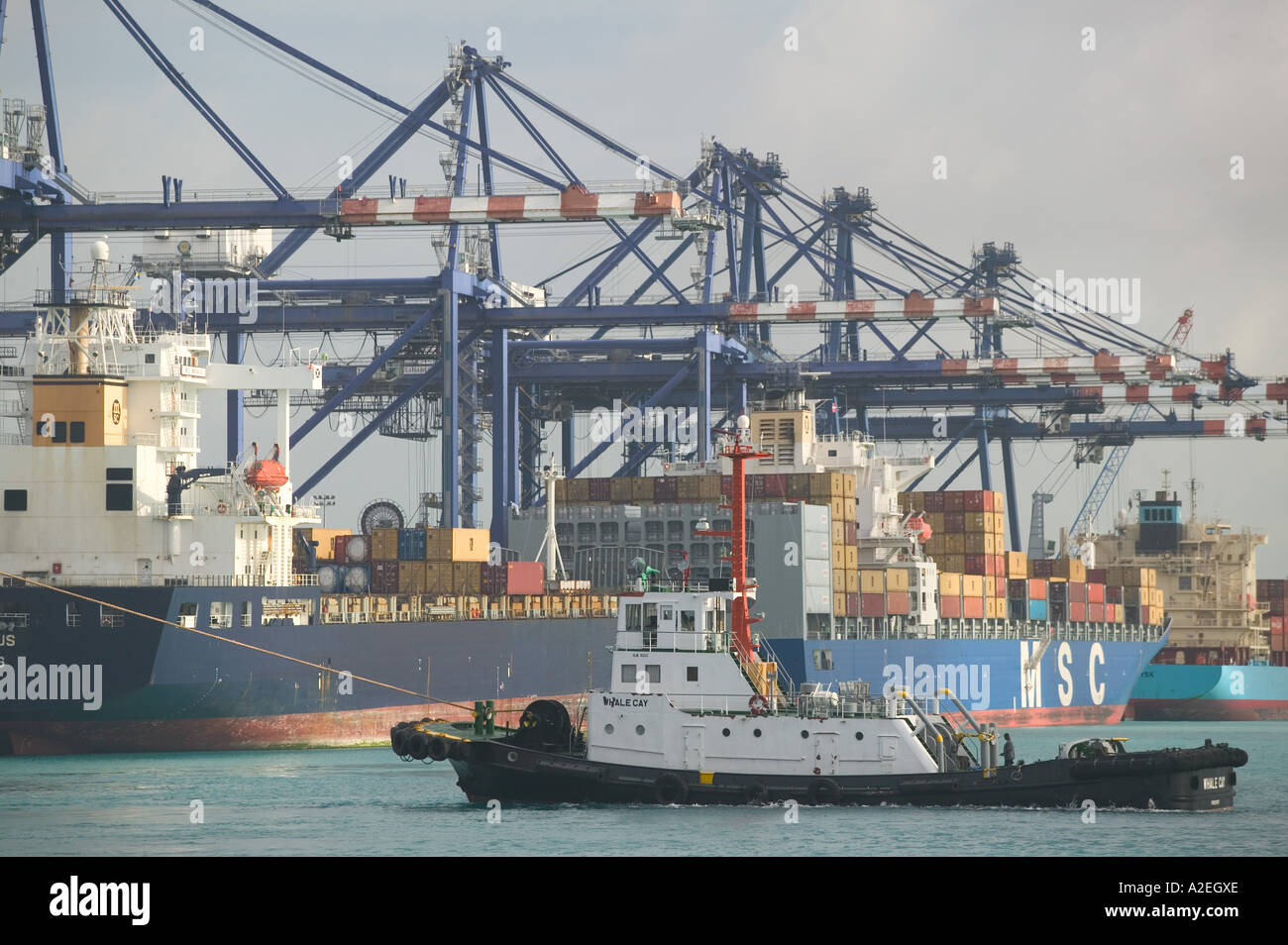 BAHAMAS, Grand Bahama Island, Freeport: Port of Freeport: Container ...
