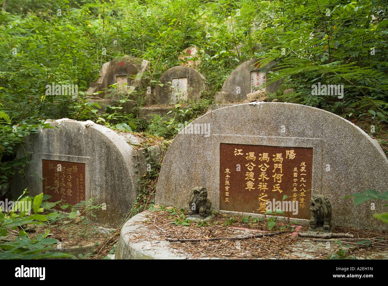 dh Chinese graveyard CHEUNG CHAU HONG KONG gravestones in woodland ...