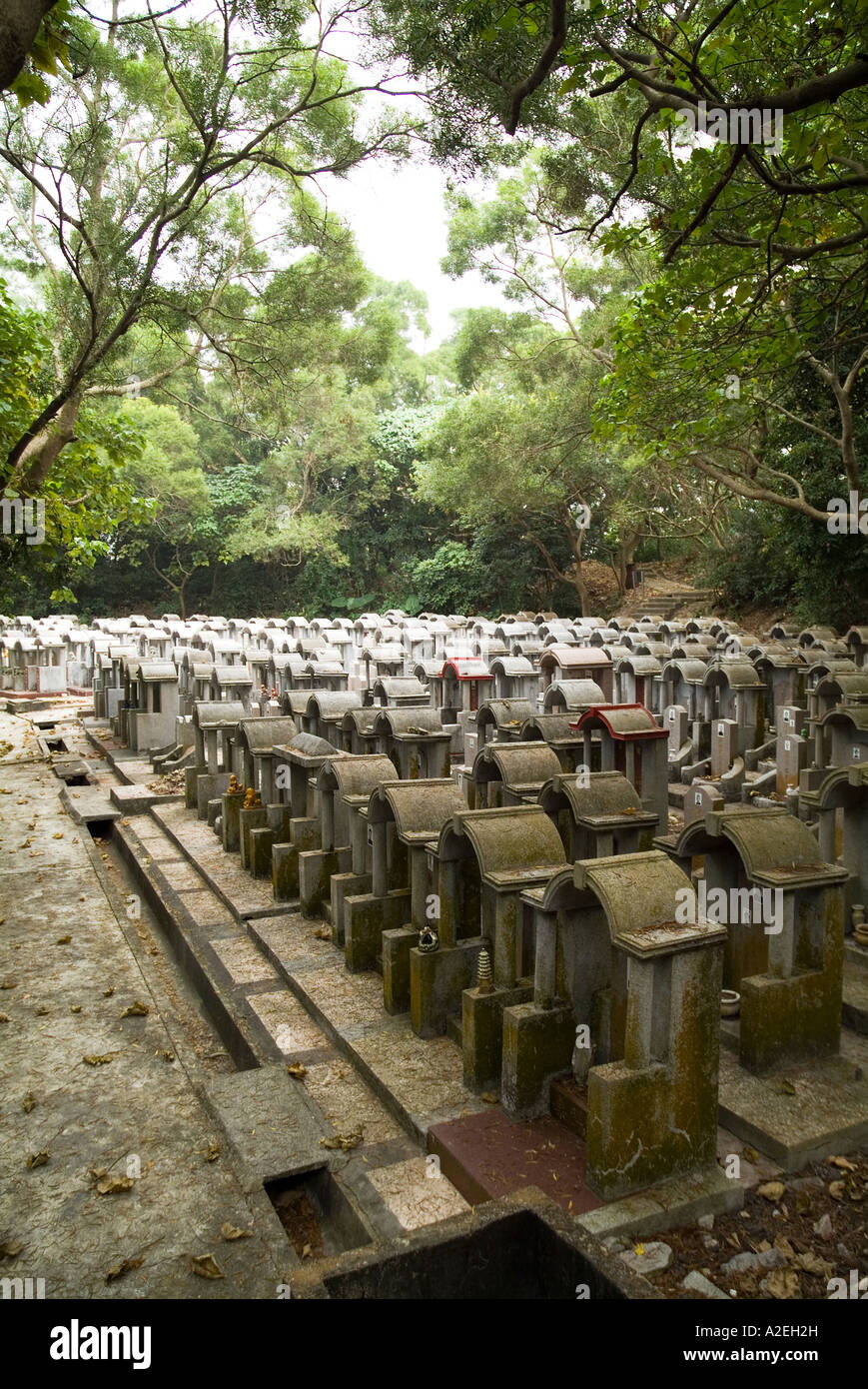 dh Chinese graveyard CHEUNG CHAU HONG KONG Rows of gravestones cemetery ...