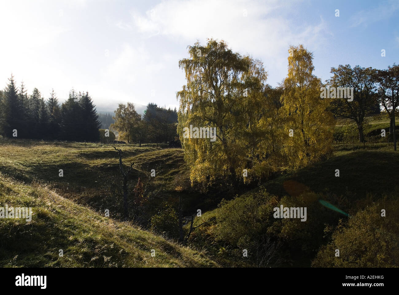 dh Braes of Foss STRATHTUMMEL PERTHSHIRE Gully with Autumn coloured ...