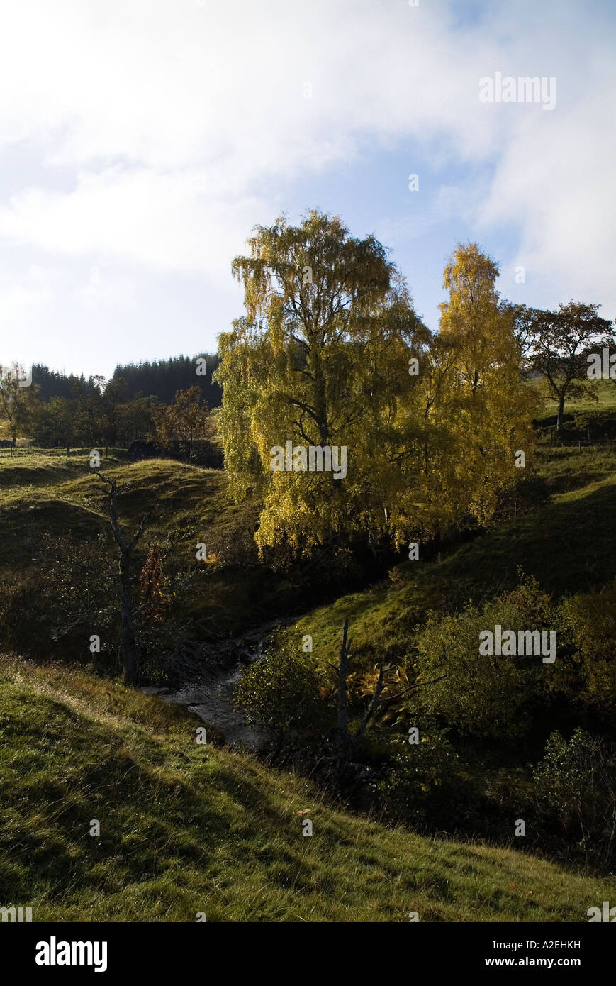 Braes of foss hi-res stock photography and images - Alamy