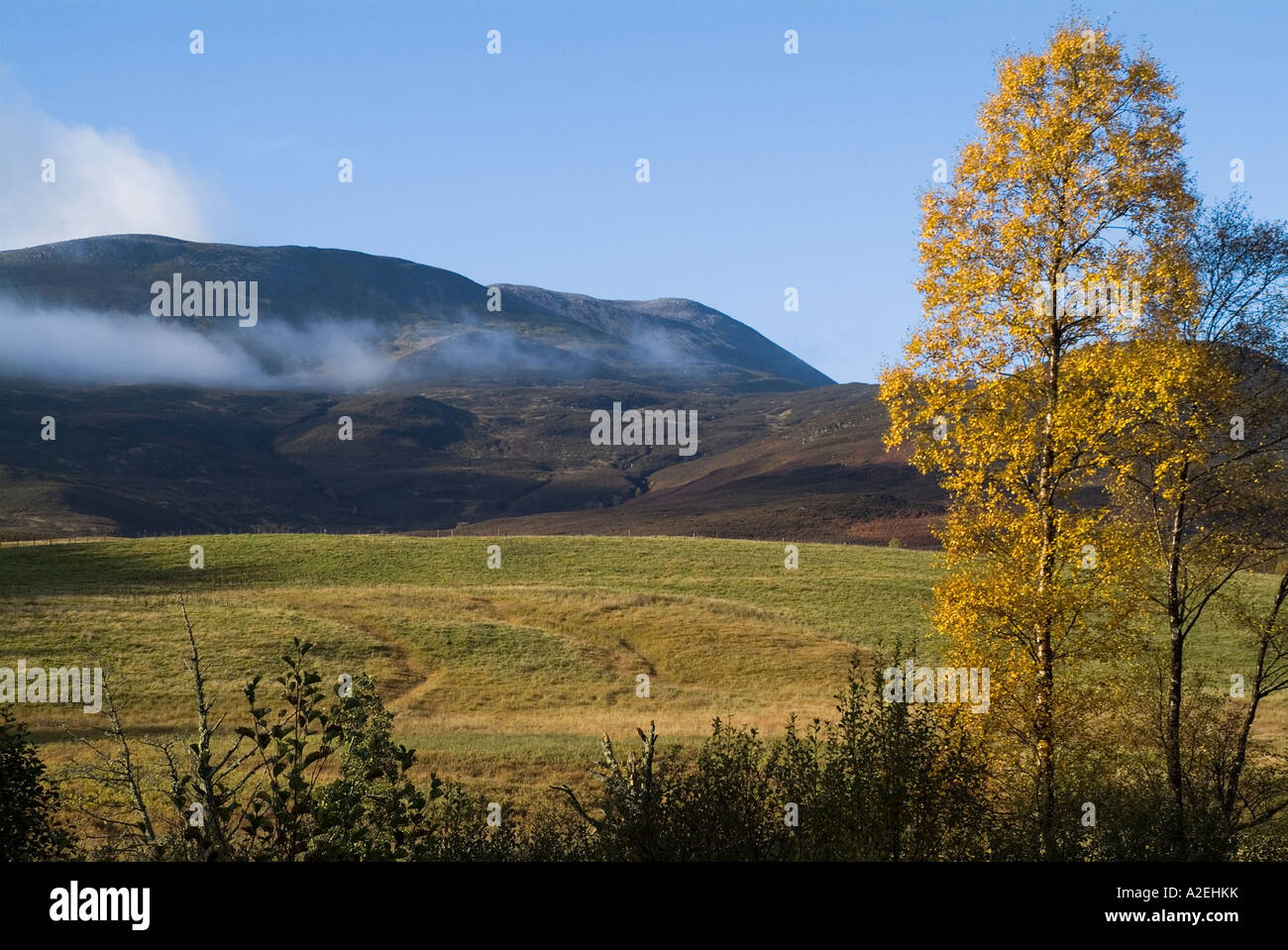 Braes of foss hi-res stock photography and images - Alamy