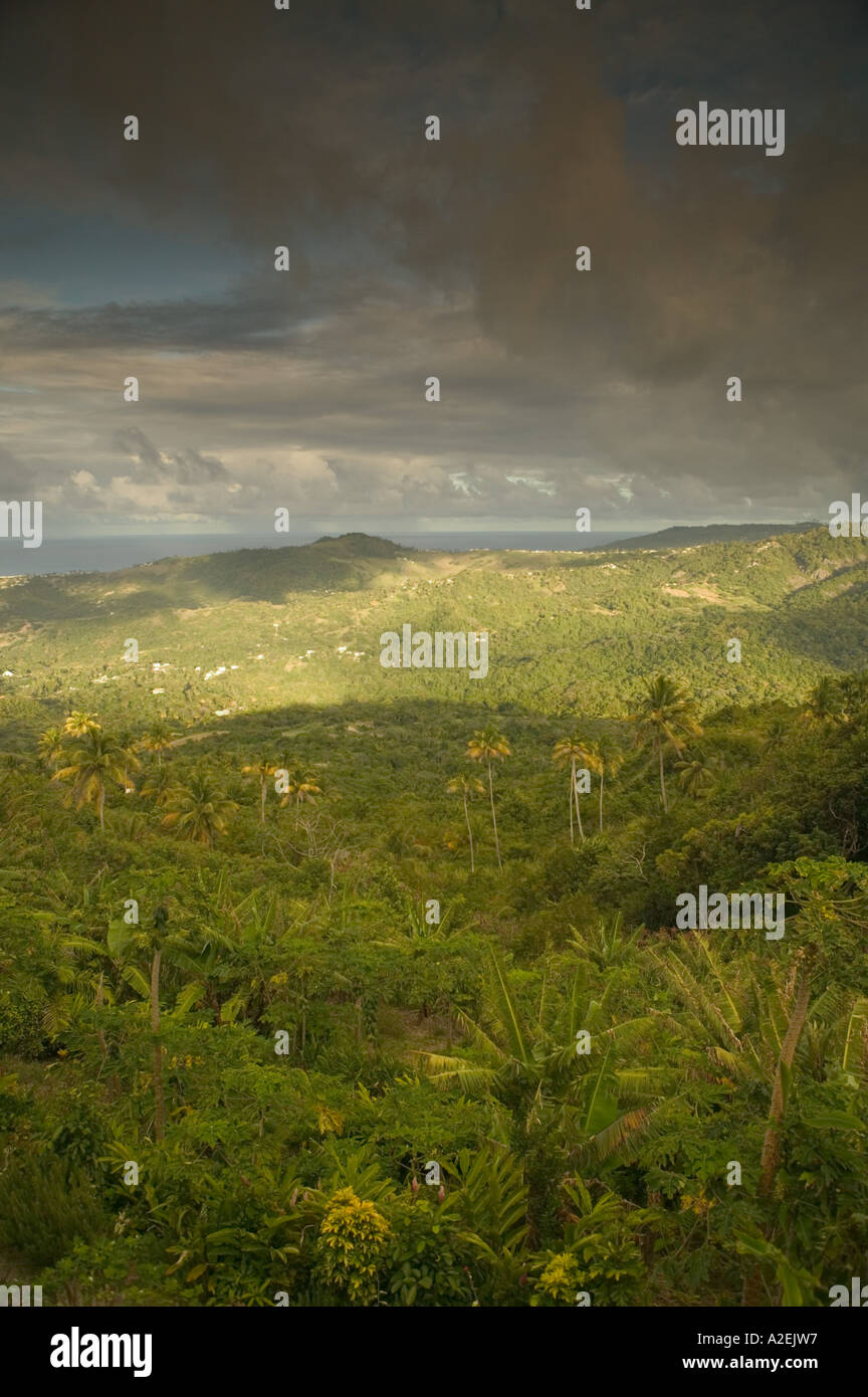 Mount hillaby barbados hi-res stock photography and images - Alamy