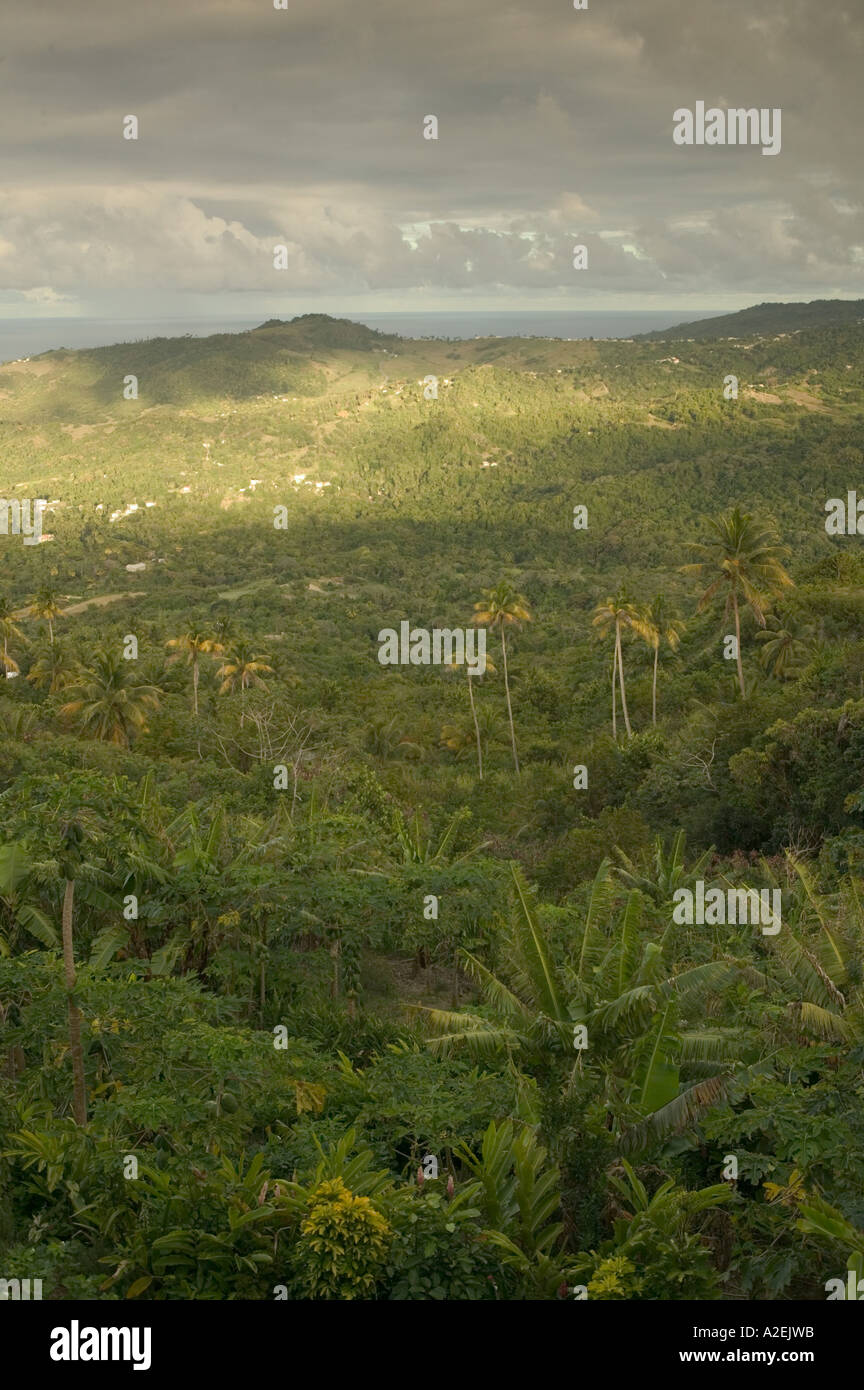 BARBADOS, Inland, Mount Hillaby: Late Afternoon from Barbados' Highest ...