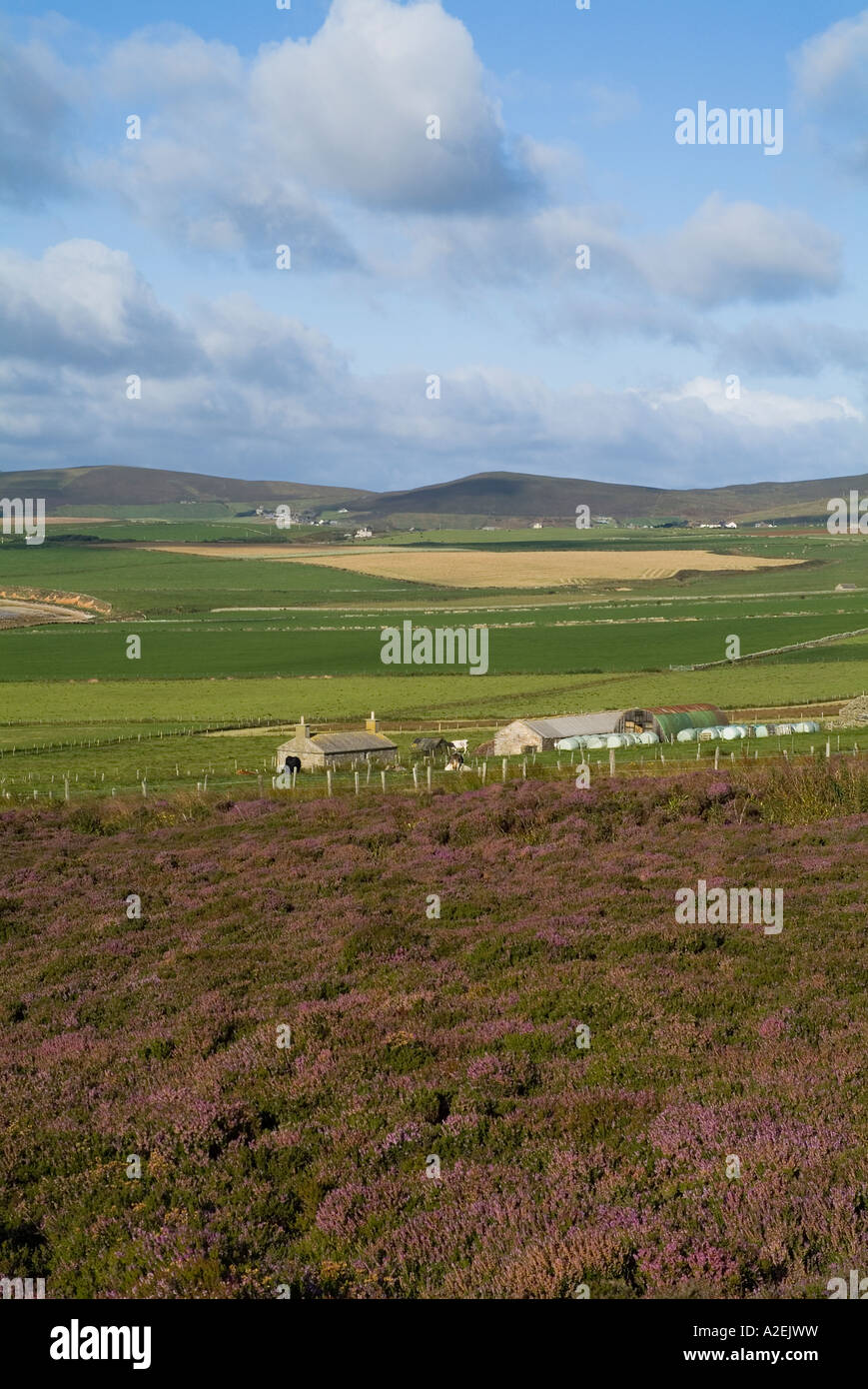 dh ORPHIR ORKNEY Farm cottage croft house heather and green fields ...