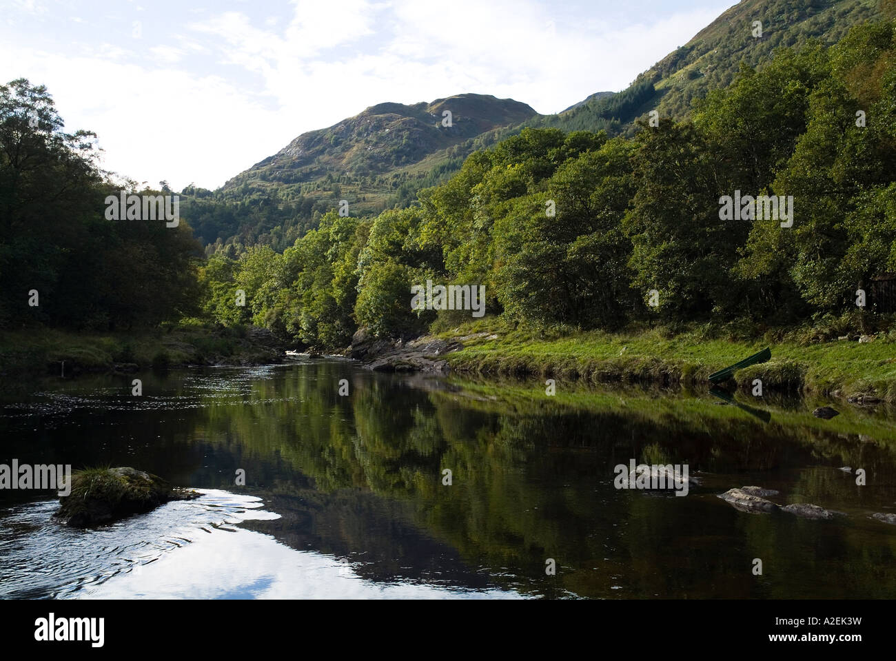 Scottish woodlands hi-res stock photography and images - Alamy